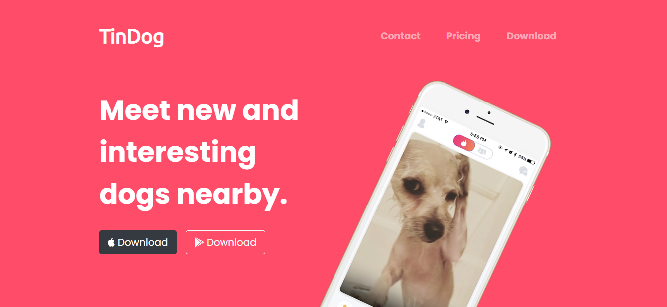 Abubakar Siddique Portfolio Website